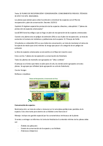 Tema-10-Flora.pdf