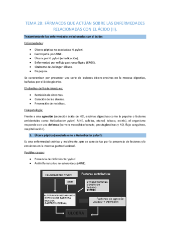 TEMA 2B.pdf