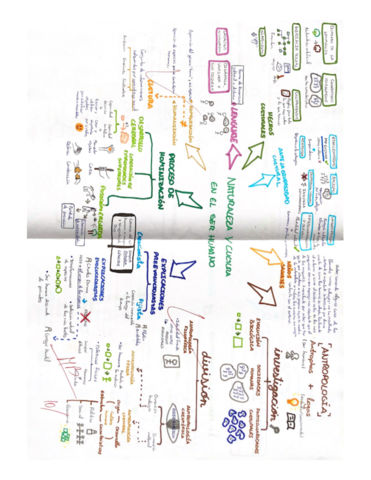 MAPA-MENTAL-Naturaleza-y-cultura-en-el-ser-humano.pdf