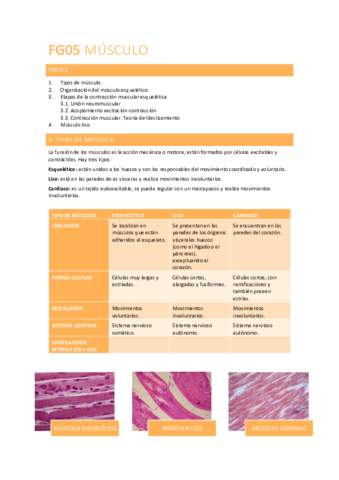FISIOLOGIA-FG05.pdf