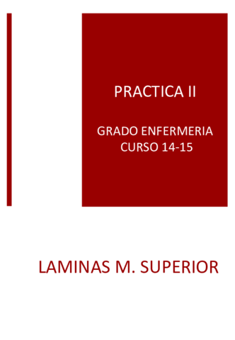 PRACTICA-II Corregida.pdf