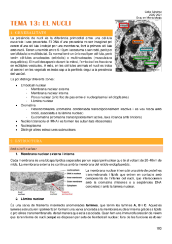 Tema-13.pdf