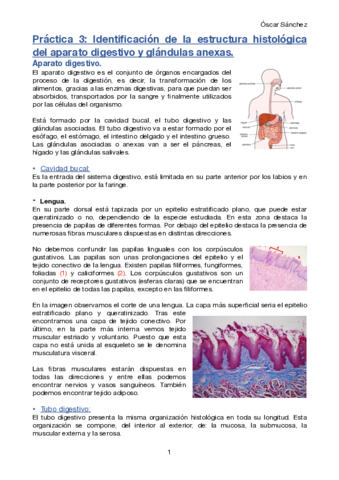 Practica-3-BCH-II.pdf