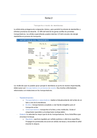 T3-Transporte-a-traves-de-membranas.pdf