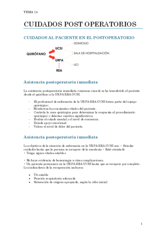 TEMA-14-CUIDADOS-POST-OPERATORIOS.pdf