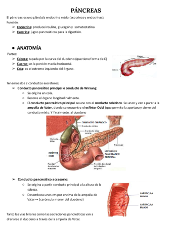 PANCREAS.pdf