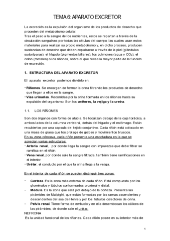 TEMA-6-AP-EXCRETOR.pdf