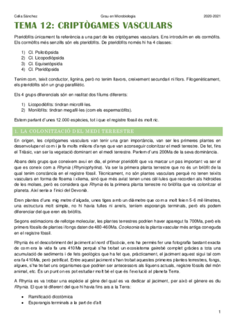 Tema-12.pdf