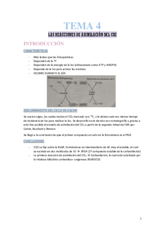 T4-fisio-veg.pdf
