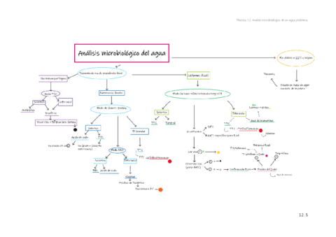 Practica-12.-Esquema.pdf