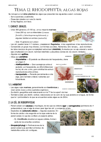 Tema-12-Rhodophyta.pdf