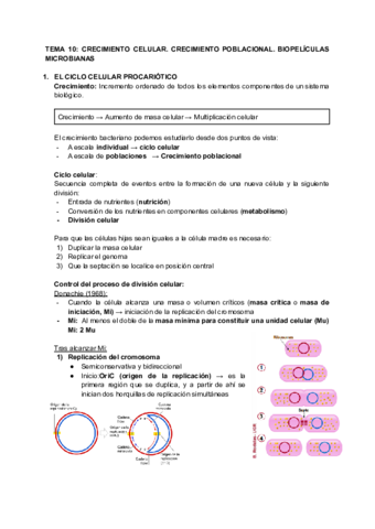 TEMA-10-Micro-1.pdf
