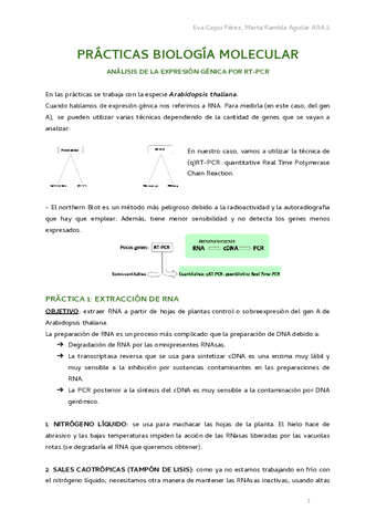 Practicas-bio-1.pdf
