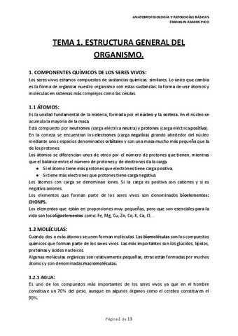 TEMA-1.pdf