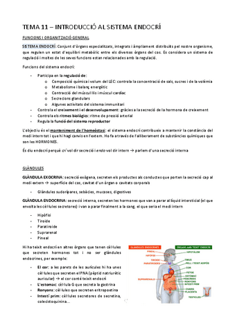 Apunts-parcial-2.pdf