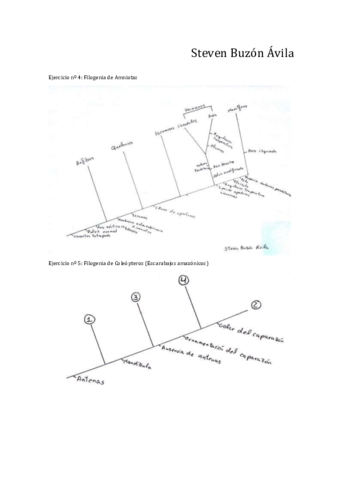 Tema 2. Sistematica filogenética.pdf