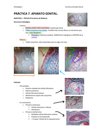 Practica-VII-Histo.pdf