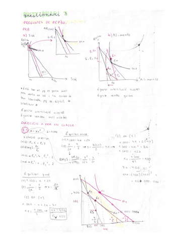 Questionari-tema-3.pdf