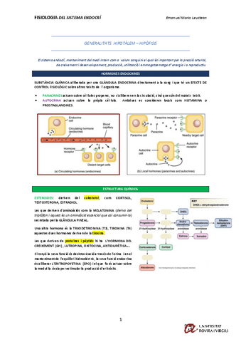 FISIO-ENDOCRI.pdf