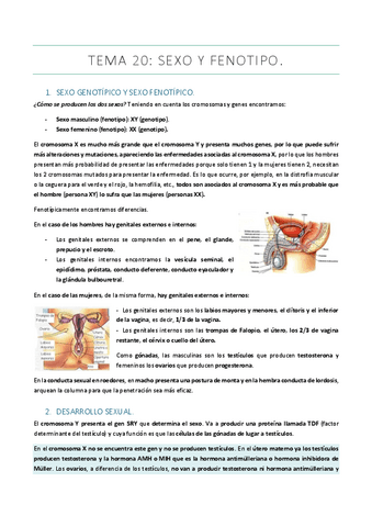 Tema-20-Neurofisiologia.pdf