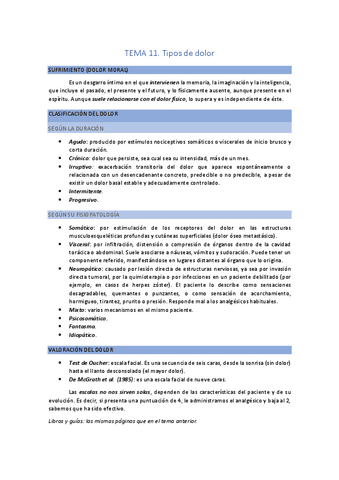 Tema-11-Tipos-de-dolor.pdf