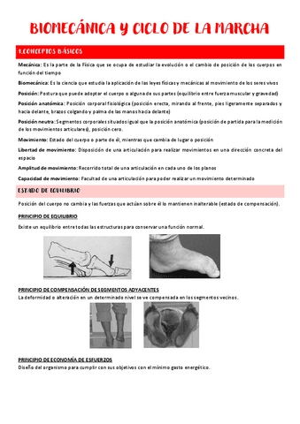 CICLO-DE-LA-MARCHA.pdf