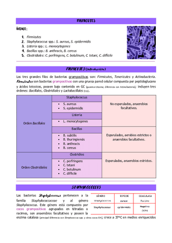 tema-10-microbiologia.pdf