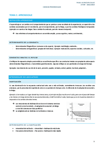 PSICO TEMA 1 y 2 en CASTELLANO.pdf