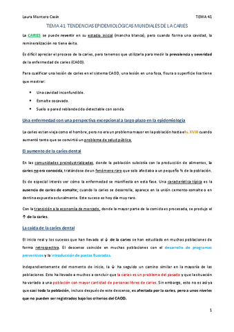 TEMA-41.pdf