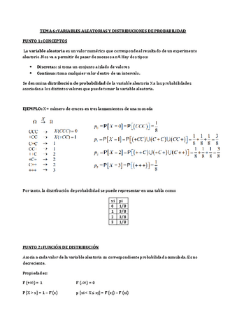 RESUMEN-T.pdf