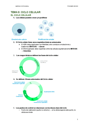 TEMA-9-CICLO-CELULAR.pdf