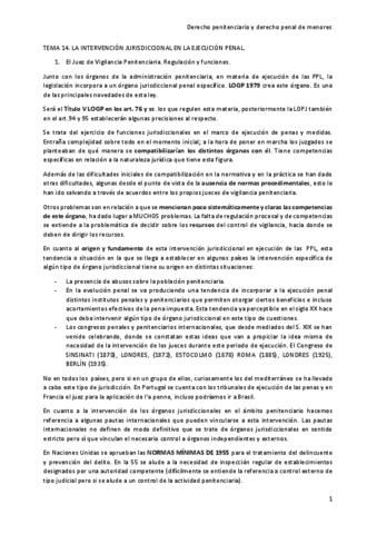 TEMA-14-LA-INTERVENCION-JURISDICCIONAL-EN-LA-EJECUCION-PENAL.pdf