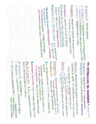 ESQUEMAS-BIOQ-T17.pdf