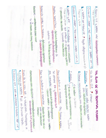 ESQUEMAS-BIOQ-T15.pdf