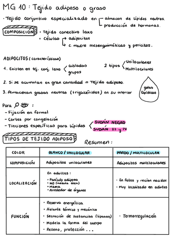 Esquema-MG10.pdf