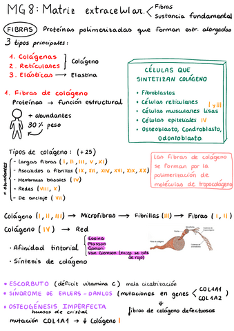 Esquema-MG8.pdf