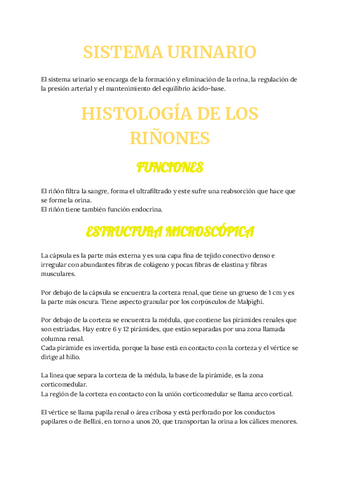HISTOLOGIA-DEL-SISTEMA-URINARIO.pdf