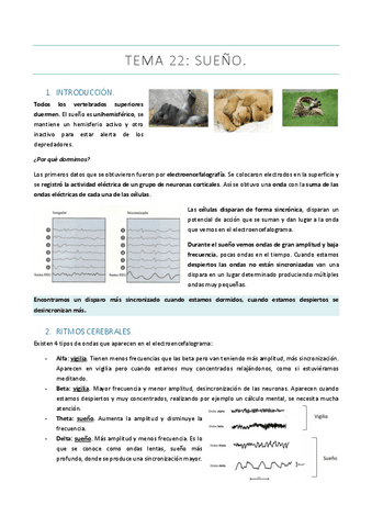 Tema-22-neurofisiologia.pdf