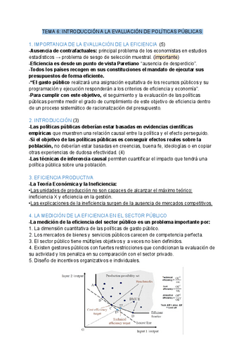 TEMA-6-INTRODUCCION-A-LA-EVALUACION-DE-POLITICAS-PUBLICAS.pdf