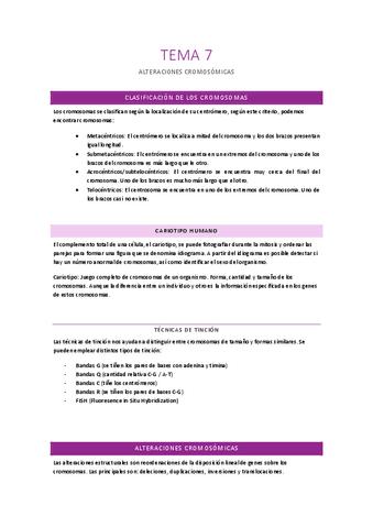 resumen-tema-7-genetica.pdf