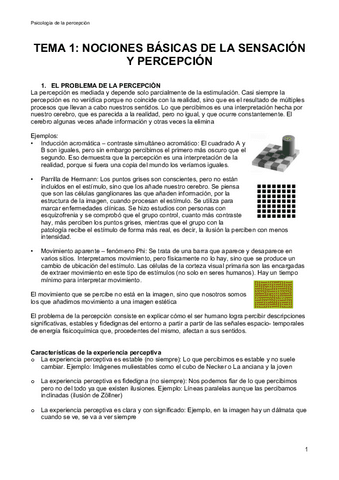 Tema-1-Percepcion.pdf