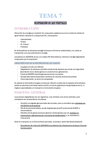 T7-FISIO-VEG.pdf
