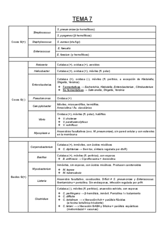 Tabla-Resumen-tema-7.pdf