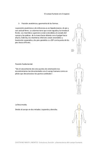 SEM.-1-El-cuerpo-humano-en-el-espacio.pdf