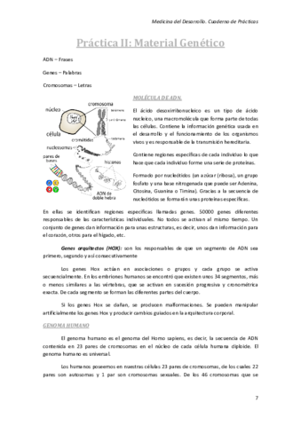 PRÁCTICA II.pdf
