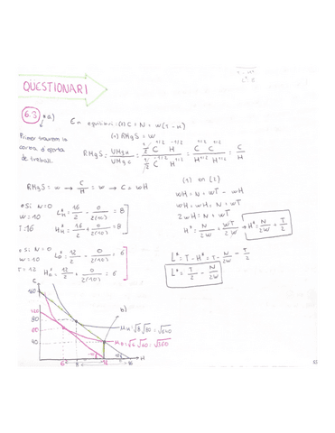 Questionari-tema-6-1.pdf