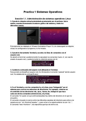 P1-SSOO.pdf