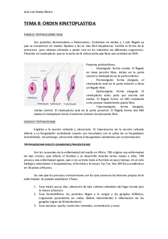 TEMA 8.pdf