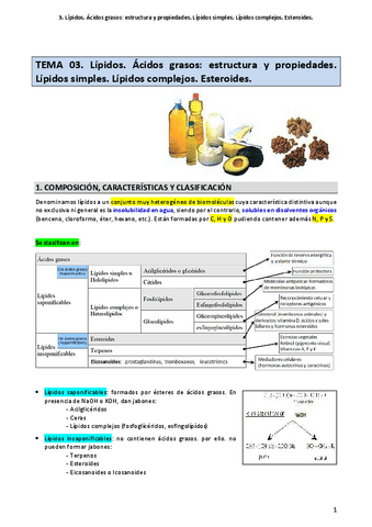 TEMA-03-Lipidos.pdf