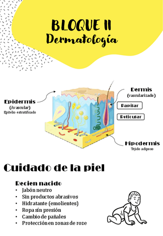 ESQUEMAS-BLOQUE-II.pdf